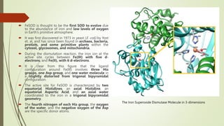 Structure and Catalytic Function of Superoxide Dismutase.pptx
