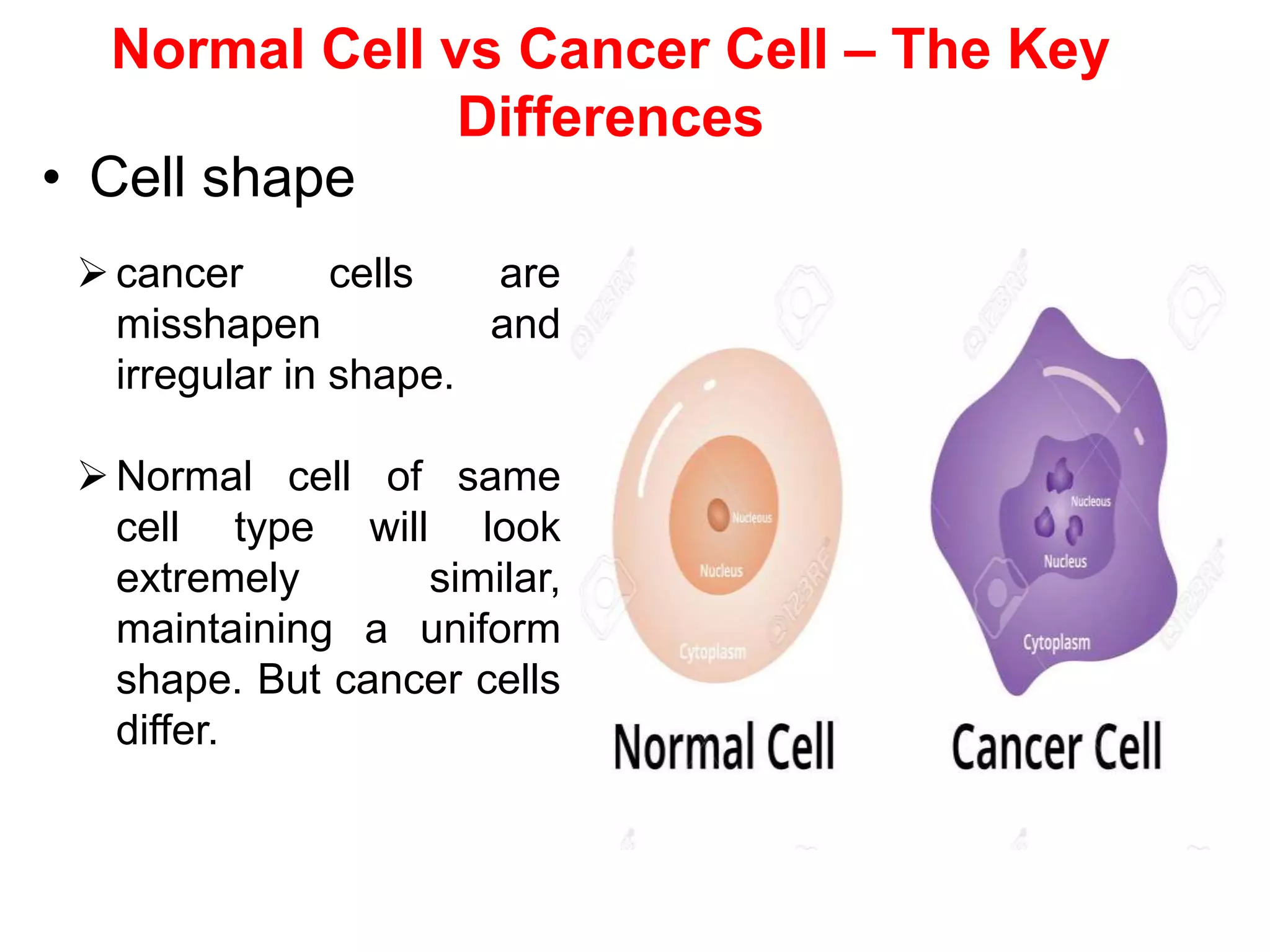 Structure and Characteristics of Normal and Cancerous cells.pptx