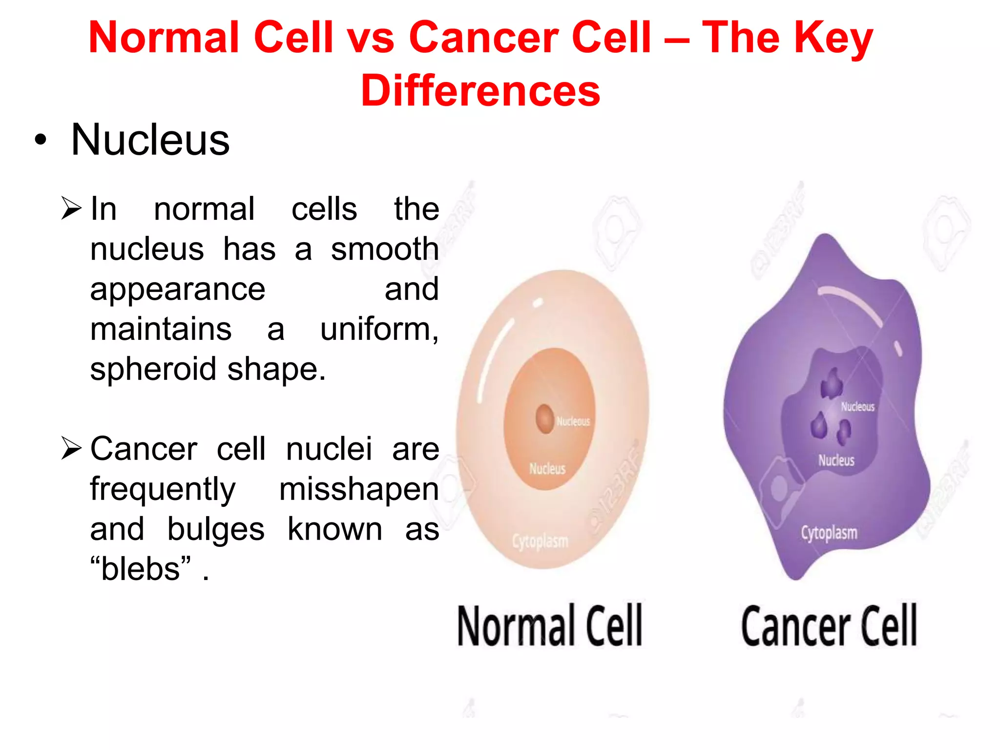 Structure And Characteristics Of Normal And Cancerous Cellspptx