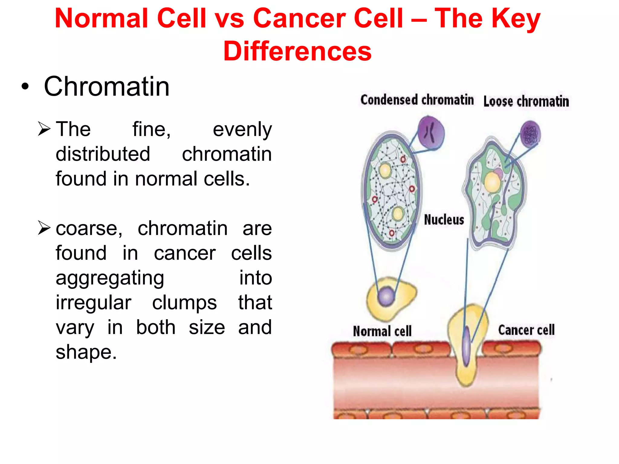 Structure and Characteristics of Normal and Cancerous cells.pptx