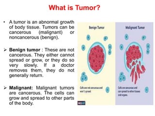 Structure and Characteristics of Normal and Cancerous cells.pptx