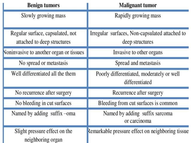 Structure and Characteristics of Normal and Cancerous cells.pptx ...