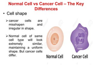 Structure and Characteristics of Normal and Cancerous cells.pptx