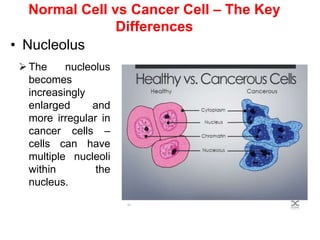Structure and Characteristics of Normal and Cancerous cells.pptx