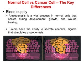 Structure and Characteristics of Normal and Cancerous cells.pptx