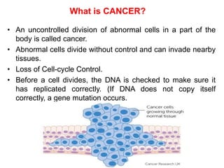 Structure and Characteristics of Normal and Cancerous cells.pptx
