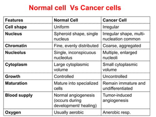 Cancer Cell Structure