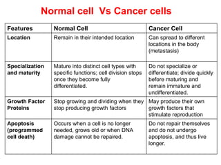 Cancer Cells Vs Normal Cells