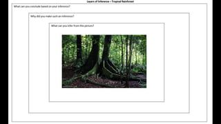 Structure and Characteristics of TRFs and Mangroves.pptx