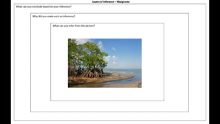 Structure and Characteristics of TRFs and Mangroves.pptx