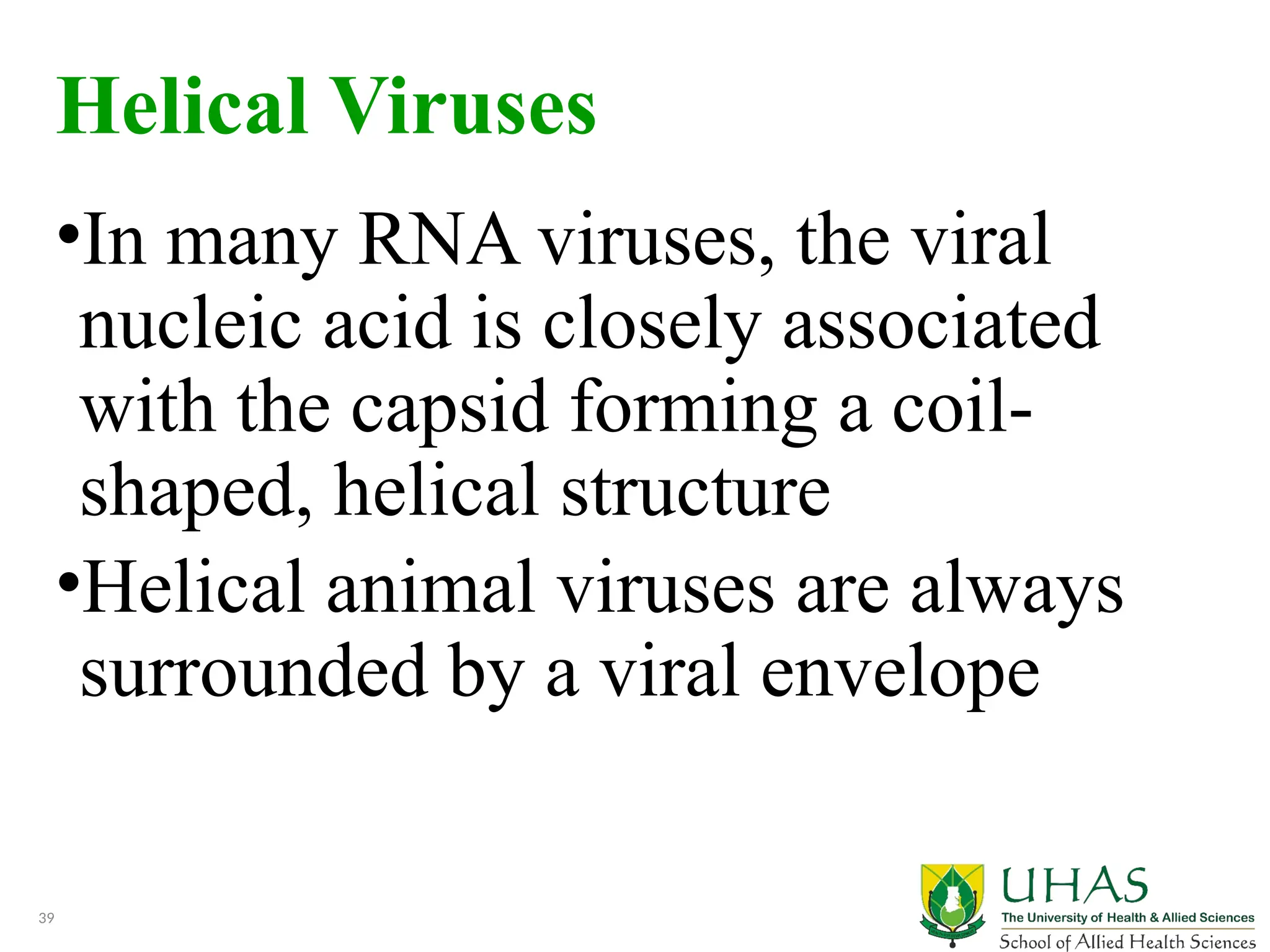 Structure and Classification of Viruses 17.09.2015-1.pptx