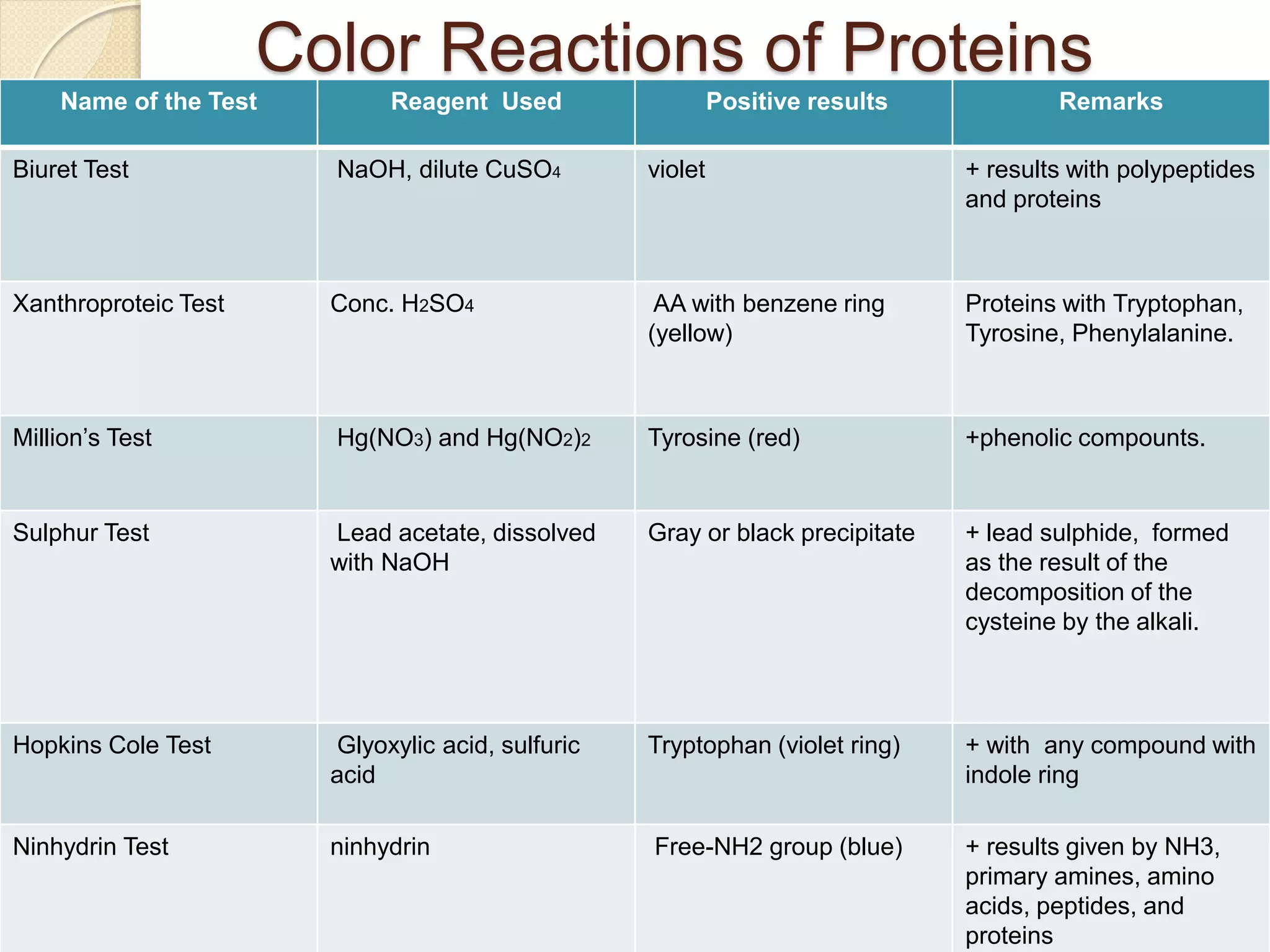 Structure and classifications of proteins | PPT
