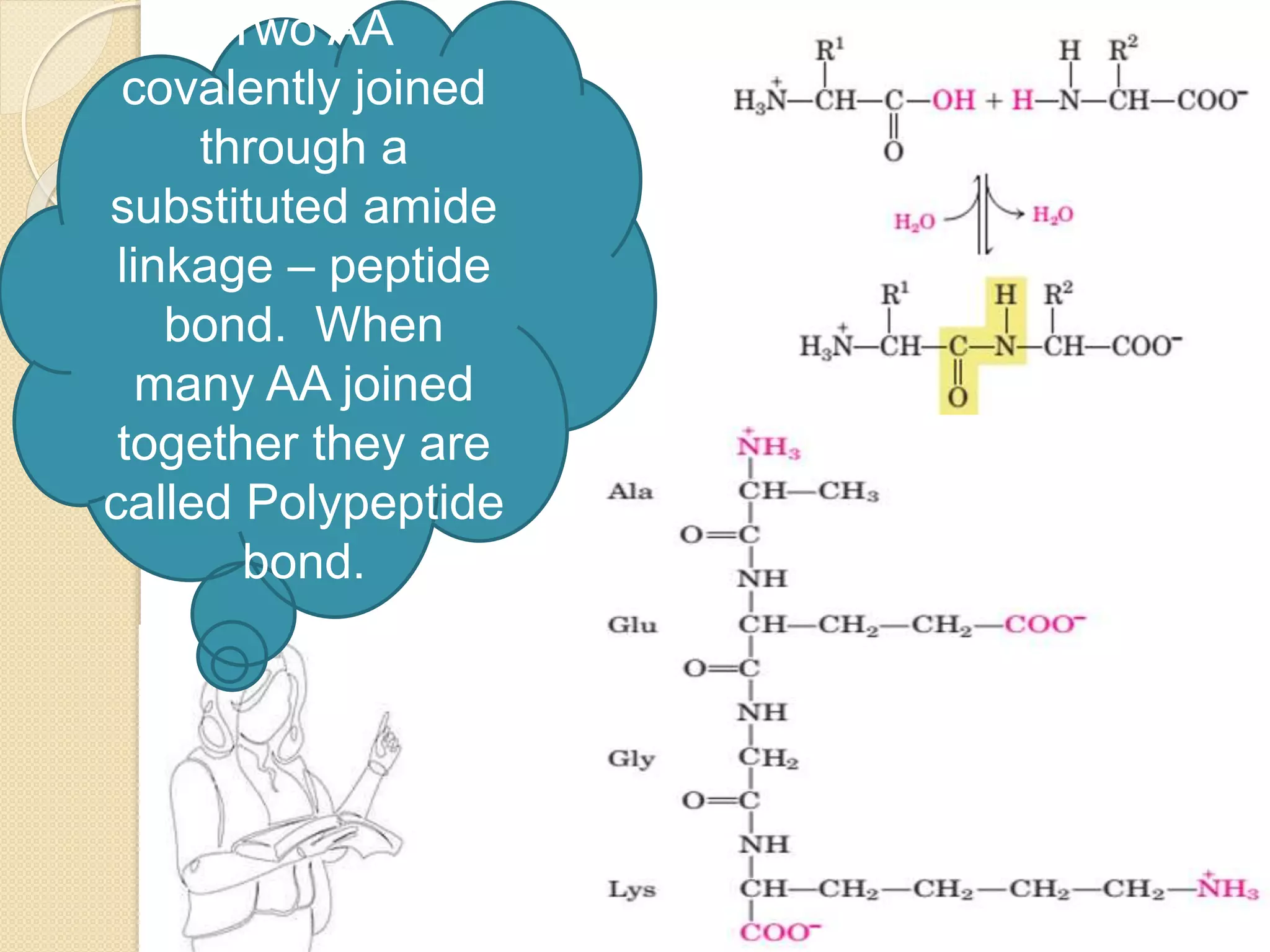 Structure and classifications of proteins | PPT