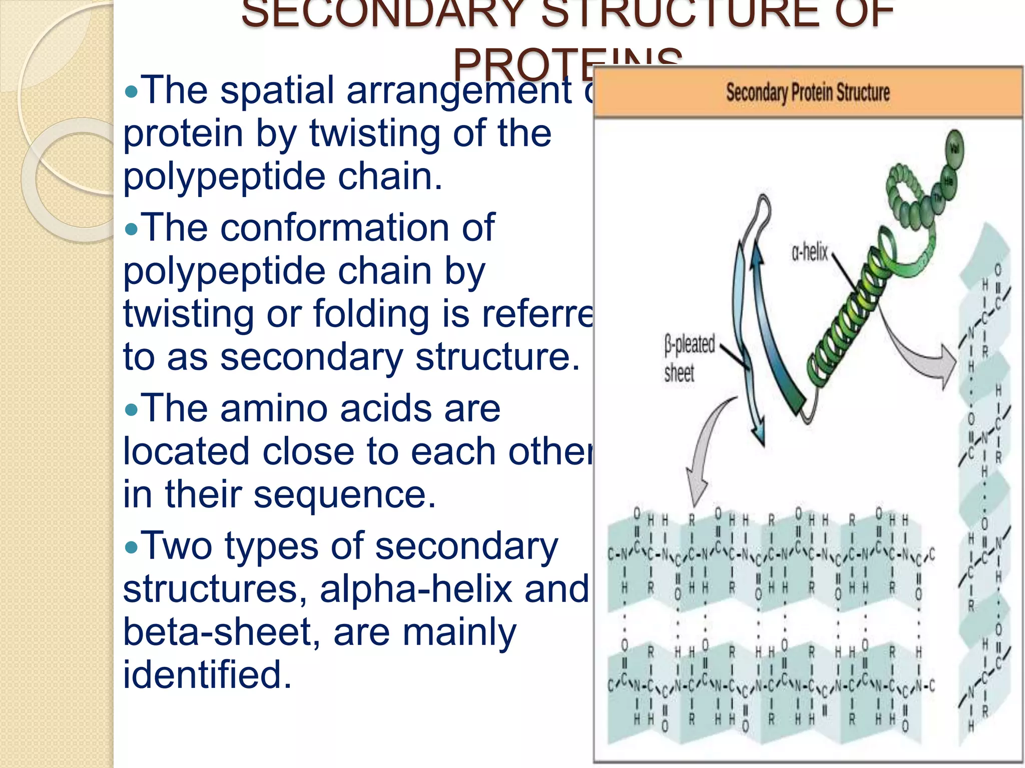 Structure and classifications of proteins | PPT