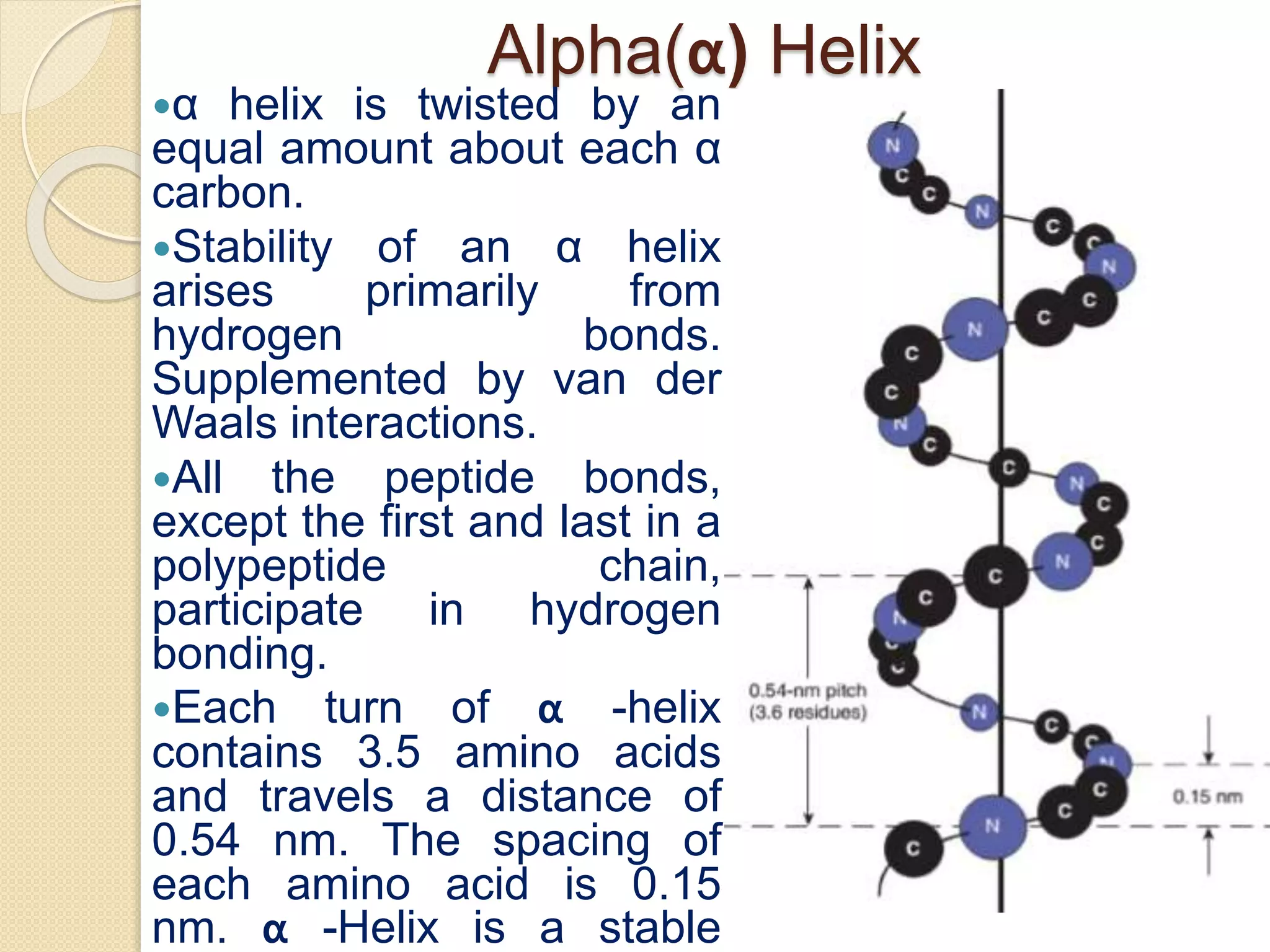 Structure and classifications of proteins | PPT