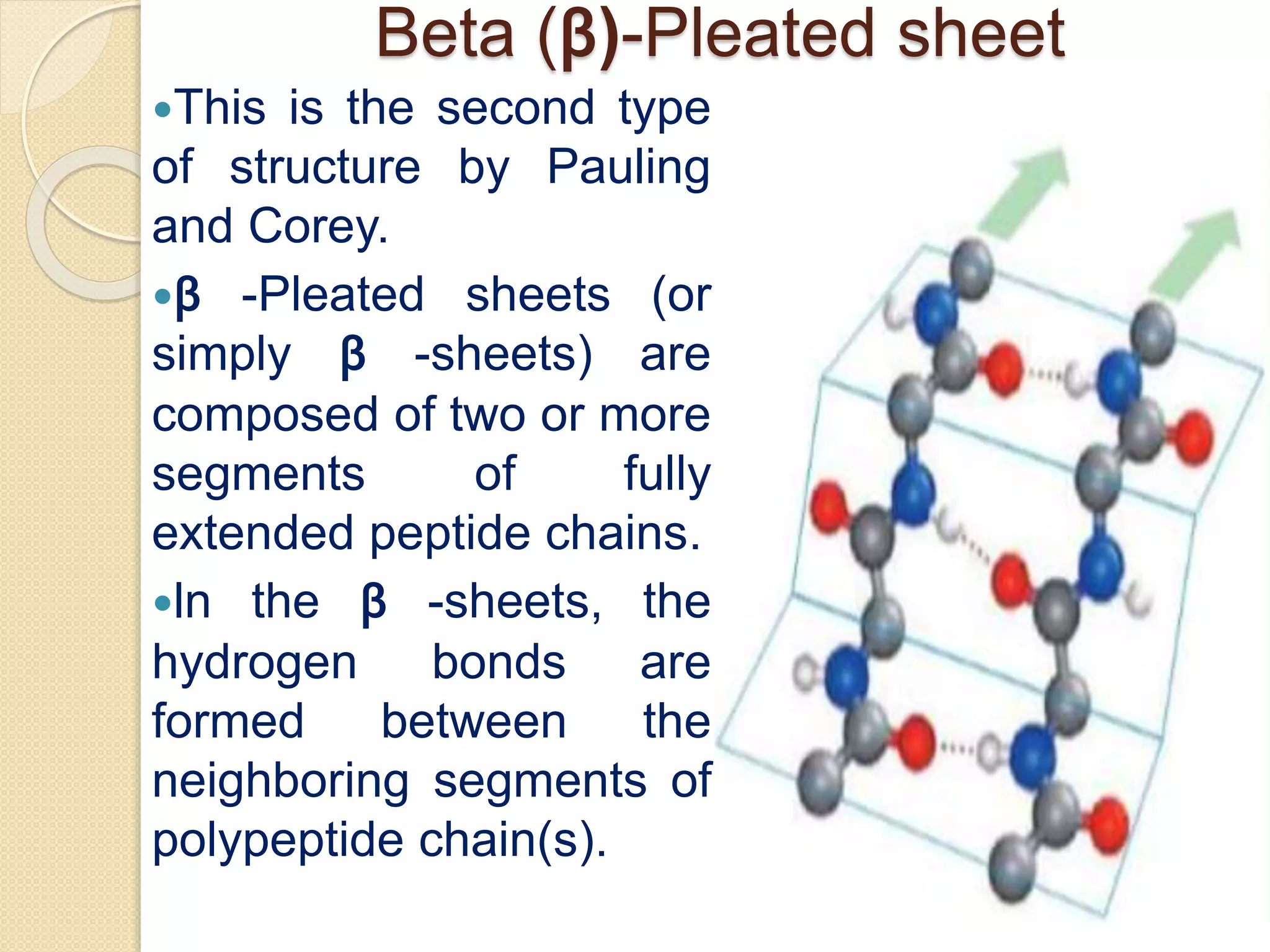 Structure and classifications of proteins | PPT