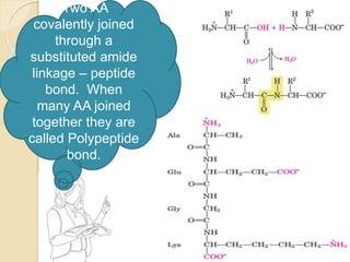Structure and classifications of proteins | PPTX
