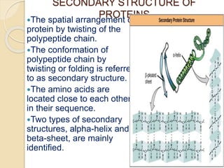 Structure and classifications of proteins | PPT