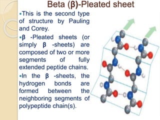 Structure and classifications of proteins | PPT
