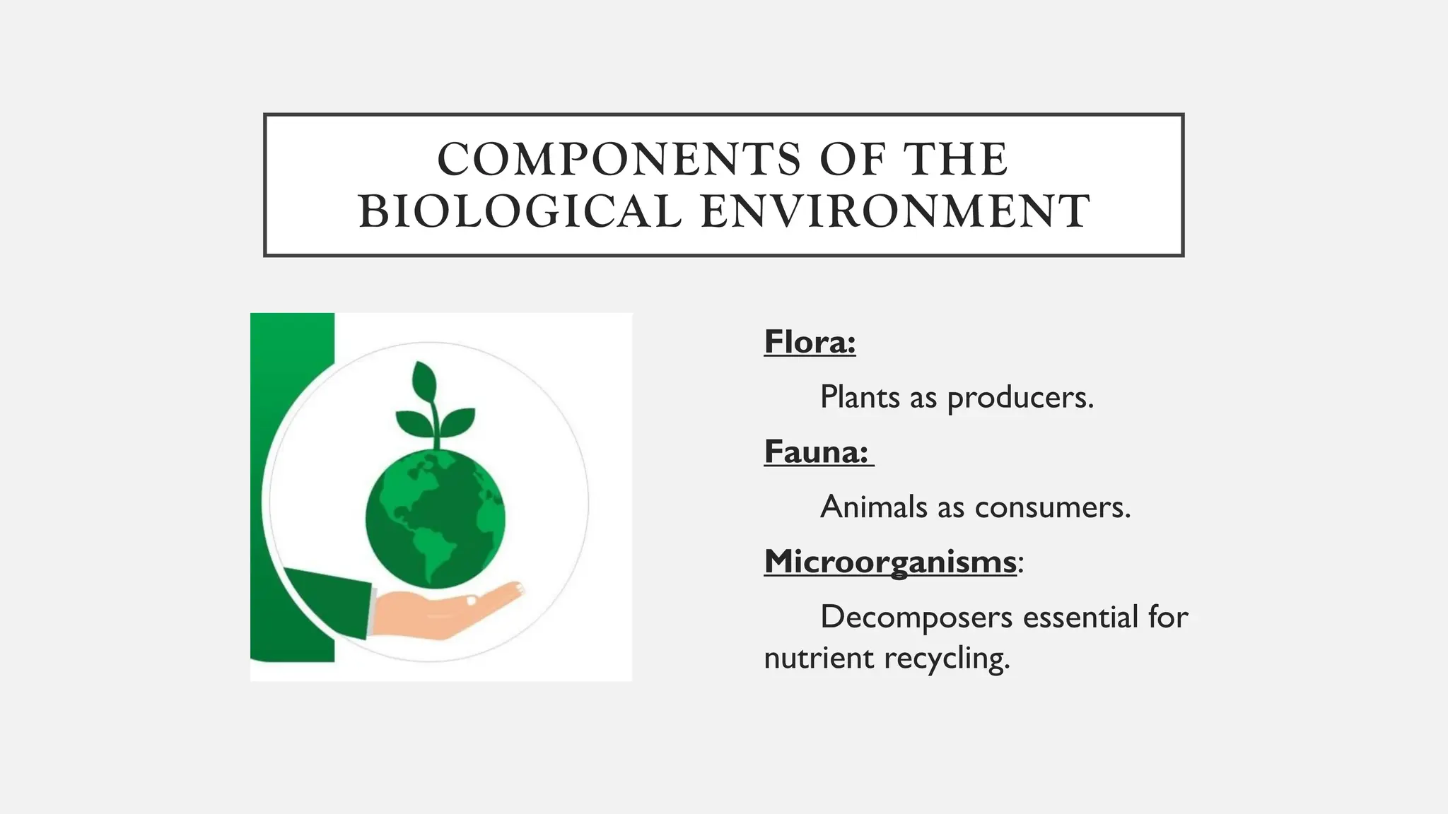 structure and components of Environment.pptx