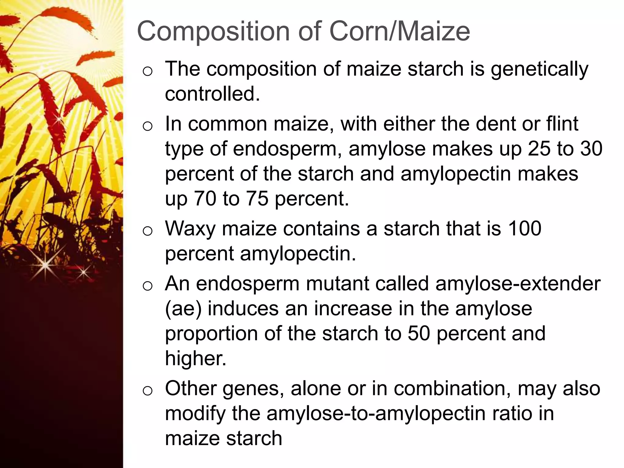 Structure and composition of corn maize | PPTX