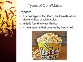 Structure and composition of corn maize | PPTX