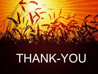 Structure and composition of corn maize | PPT