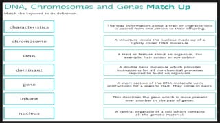 Structure and Composition of DNA and.pptx