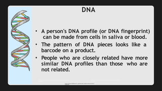 Structure and Composition of DNA and.pptx