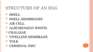 PHYSICAL STRUCTURE AND COMPOSITION OF EGG.pptx