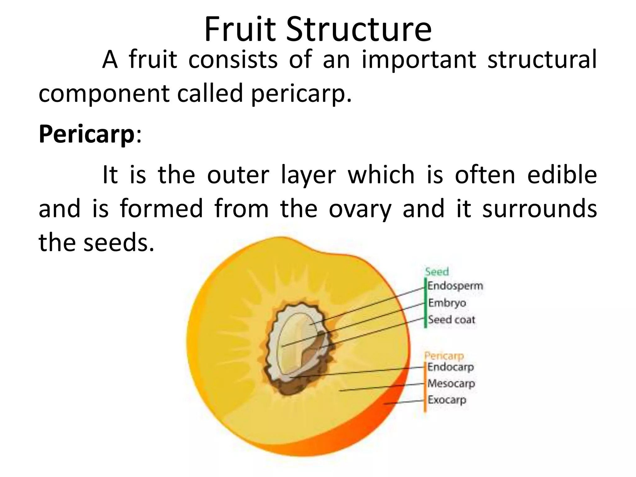 Structure and development of fruit | PPTX