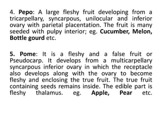 Structure and development of fruit | PPTX