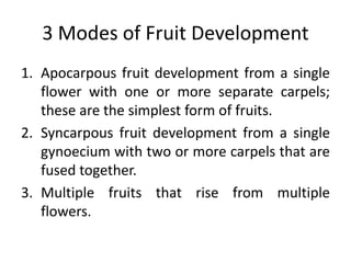 Structure and development of fruit | PPTX