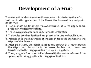 Structure and development of fruit | PPTX