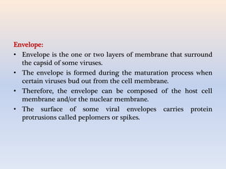 Structure and diversity of virus | PPTX