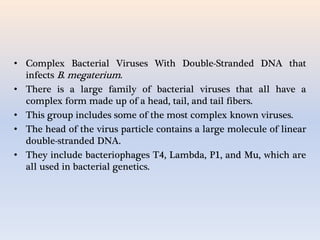 Structure and diversity of virus | PPTX
