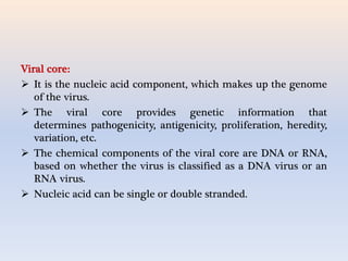 Structure and diversity of virus | PPTX