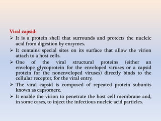 Structure and diversity of virus | PPTX