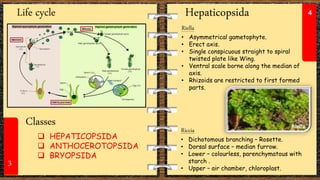 STRUCTURE AND EVOLUTION IN GAMETOPHYTES, SPOROPHYTES | PPTX