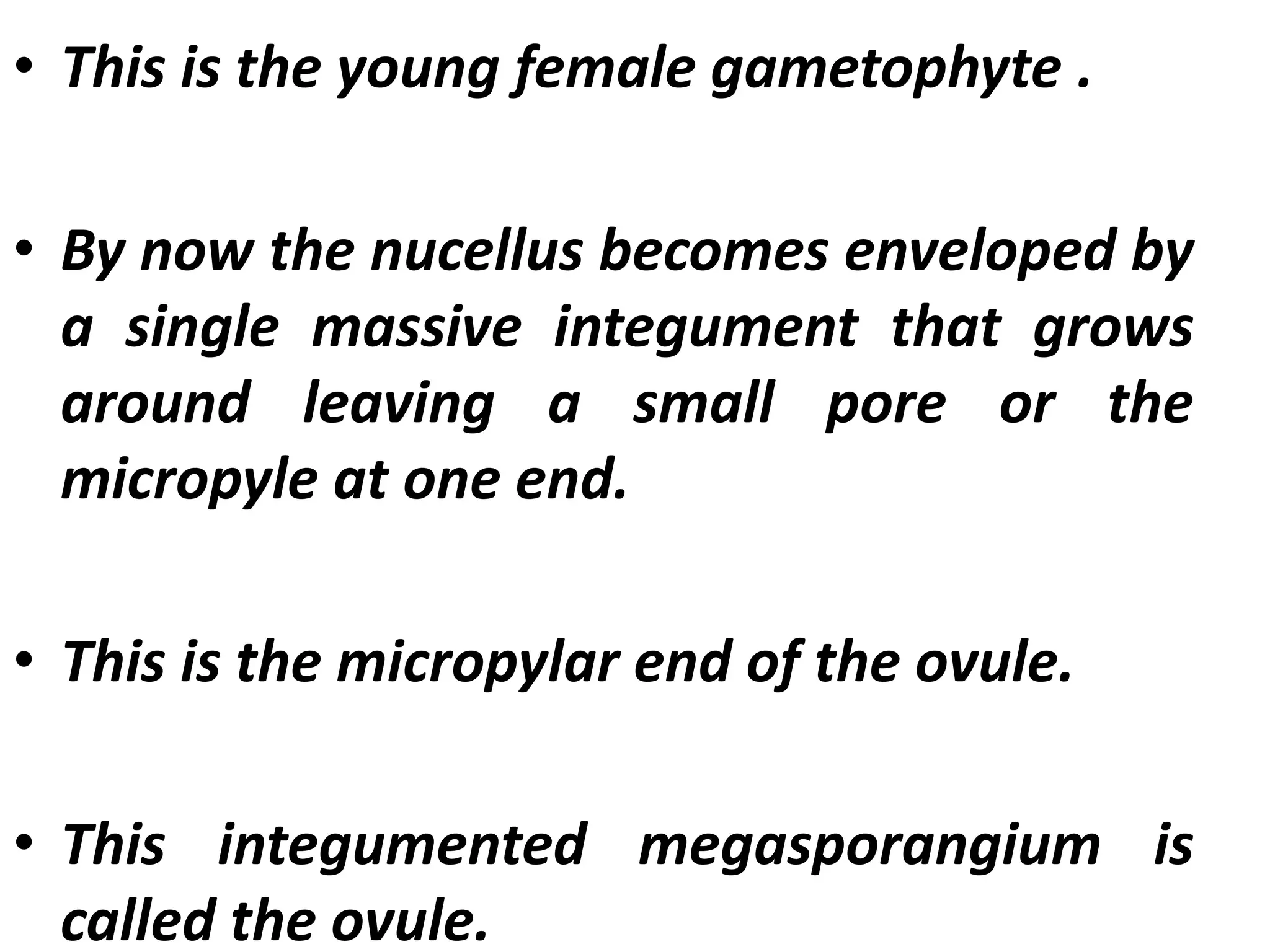 Structure and evolution of female gametophyteof gymnosperms | PPTX ...