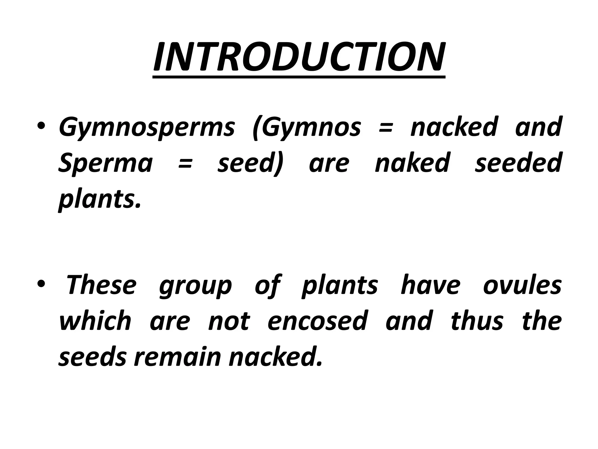 Structure and evolution of female gametophyteof gymnosperms | PPTX ...