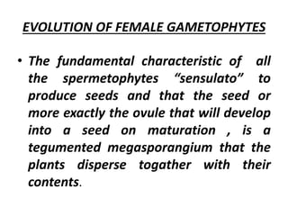 Structure and evolution of female gametophyteof gymnosperms | PPTX
