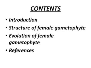 Structure and evolution of female gametophyteof gymnosperms | PPTX