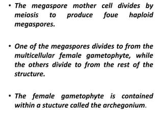 Structure and evolution of female gametophyteof gymnosperms | PPTX