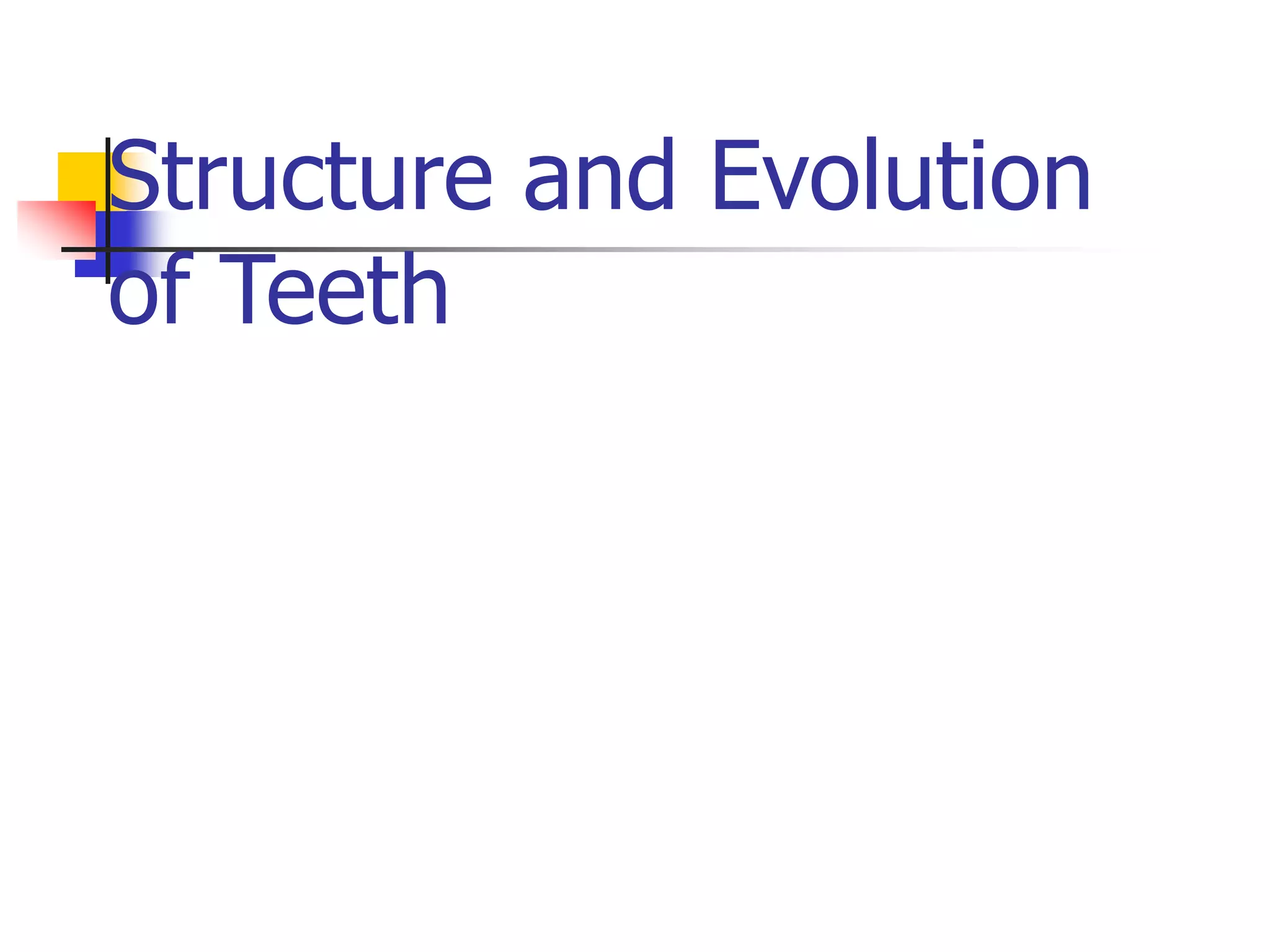 Structure and Evolution of Teeth.ppt