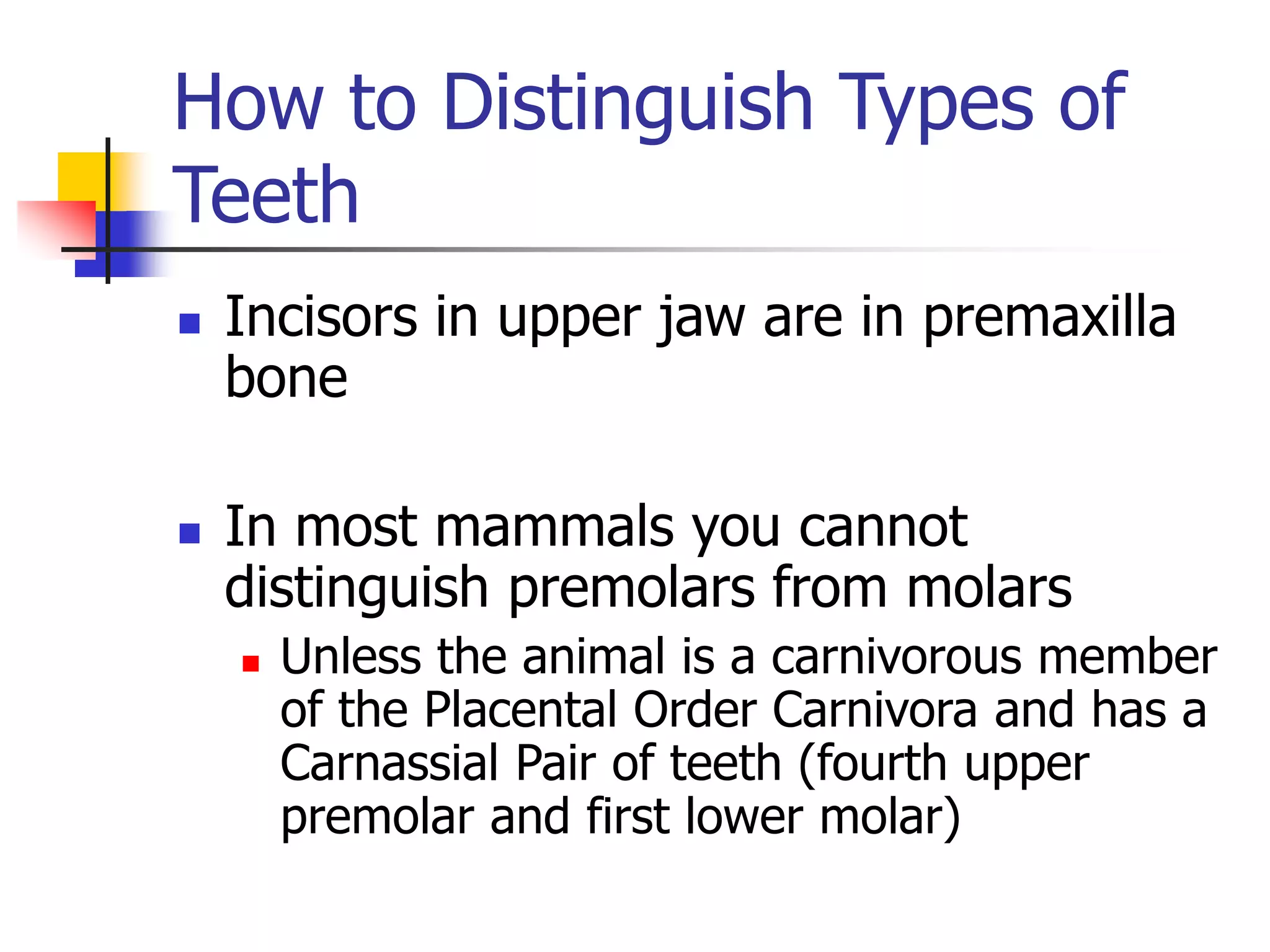 Structure and Evolution of Teeth.ppt
