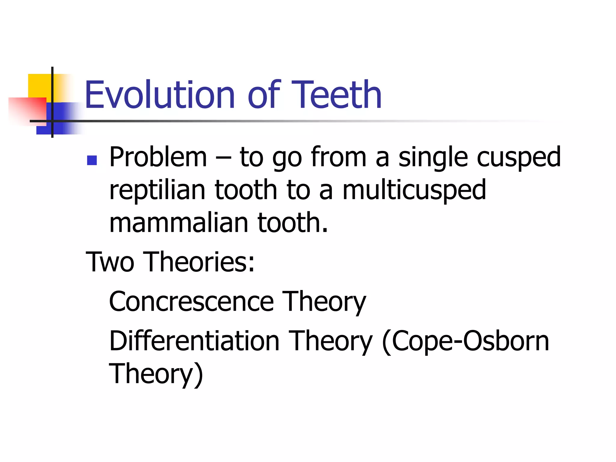 Structure and Evolution of Teeth.ppt