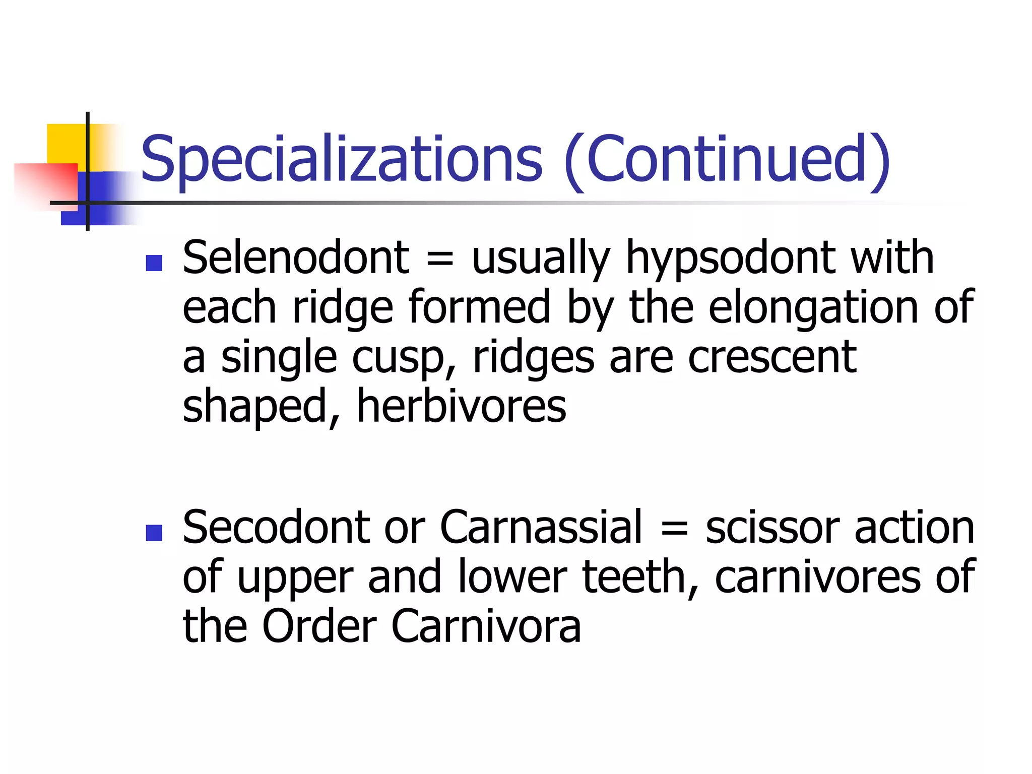 Structure and Evolution of Teeth.ppt