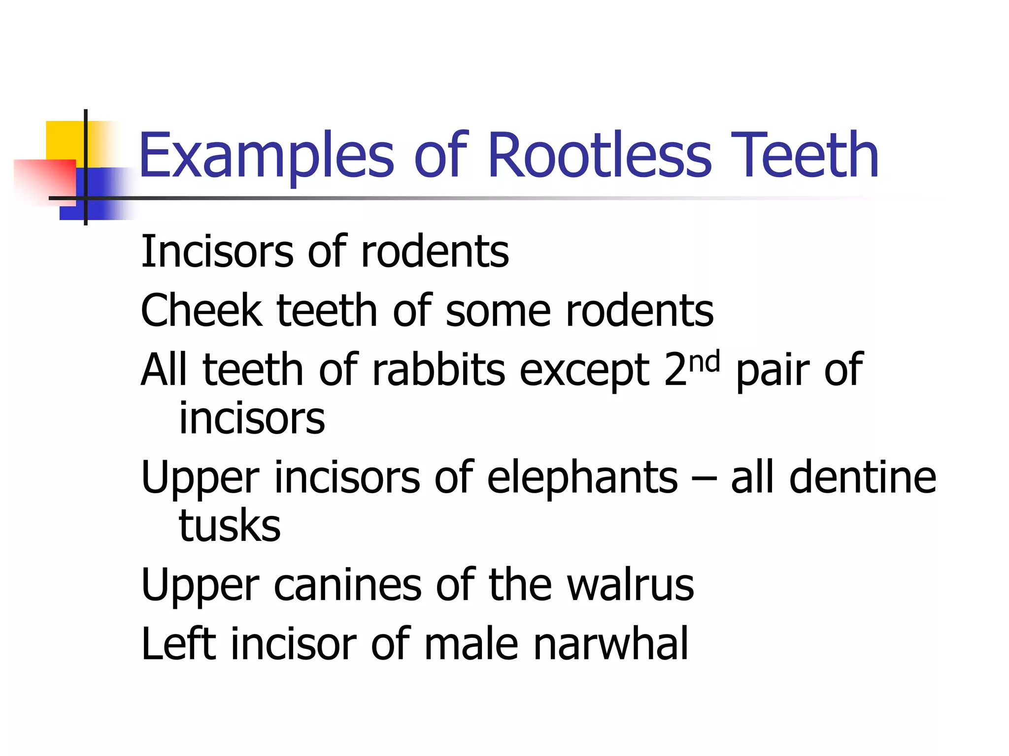 Structure and Evolution of Teeth.ppt