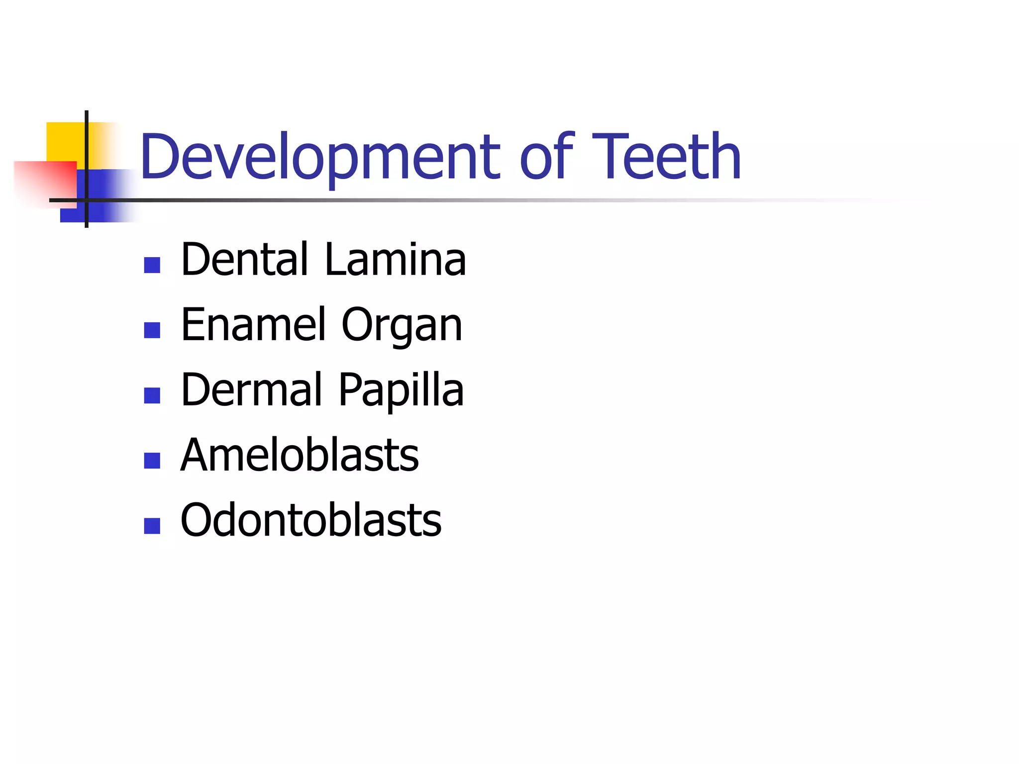 Structure and Evolution of Teeth.ppt